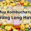 Top 5 địa chỉ bán Kombucha uy tín tại Phường Long Hương TpHCM